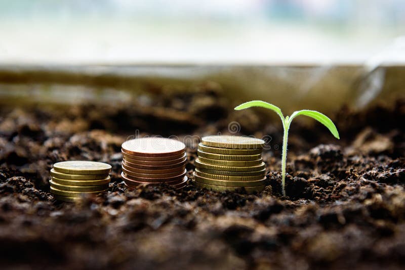 Stack of Coins and Growing Plant in Soil. Stock Image - Image of soil ...