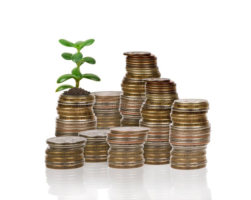 Stack of Coins with Money Tree Stock Photo - Image of plant, white ...