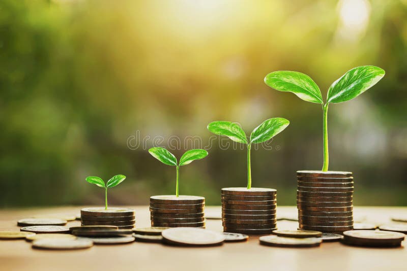Stack Coins with Plants To Grow into Steps. Business Growth Concept ...