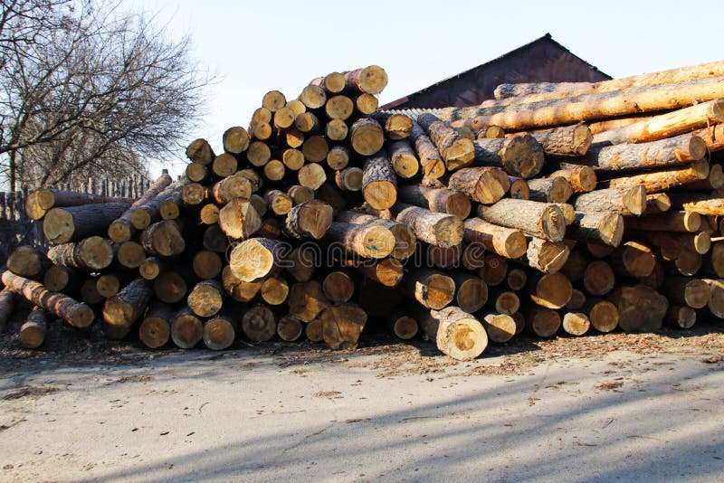 Stack of Construction Raw Timber in Sawmill Yard Stock Image - Image of ...