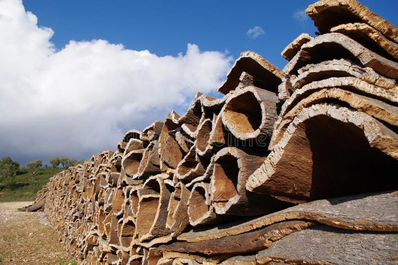 Stacked Bark of the Cork Oak in Alentejo, Portugal Stock Photo - Image ...