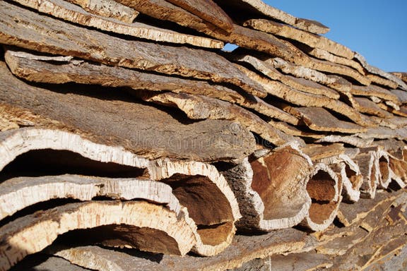 Stack of Cork layers stock image. Image of abstract, pile - 22669021
