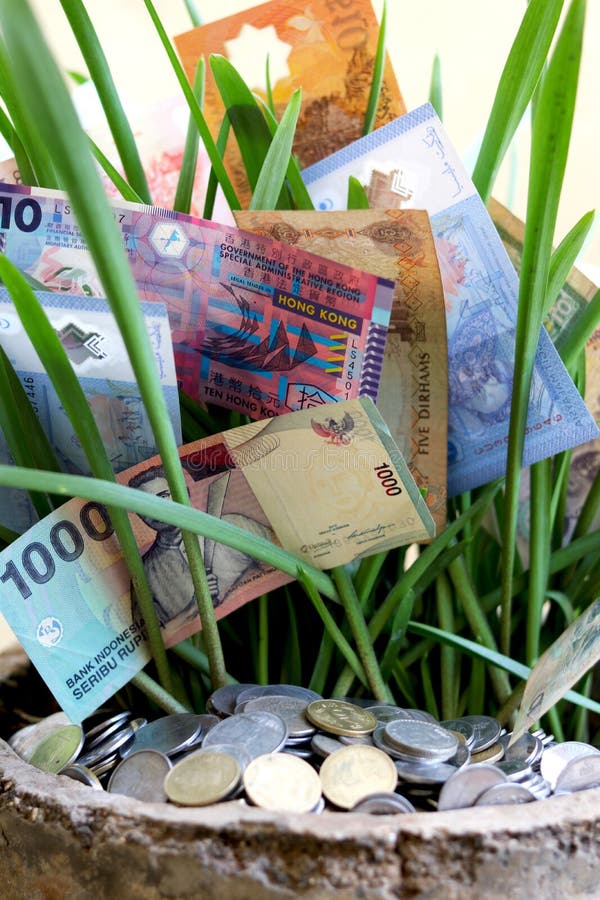 Stack of Currency Coin in Flower Pot with Green Leaf Plant Stock Image ...