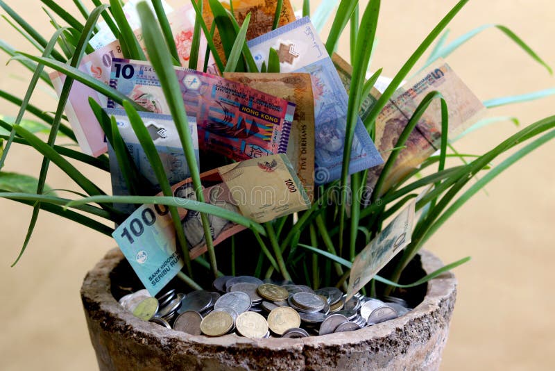 Stack of Currency Coin in Flower Pot with Green Leaf Plant Stock Image ...