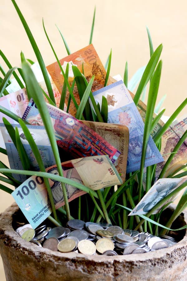Stack of Currency Coin in Flower Pot with Green Leaf Plant Stock Photo ...