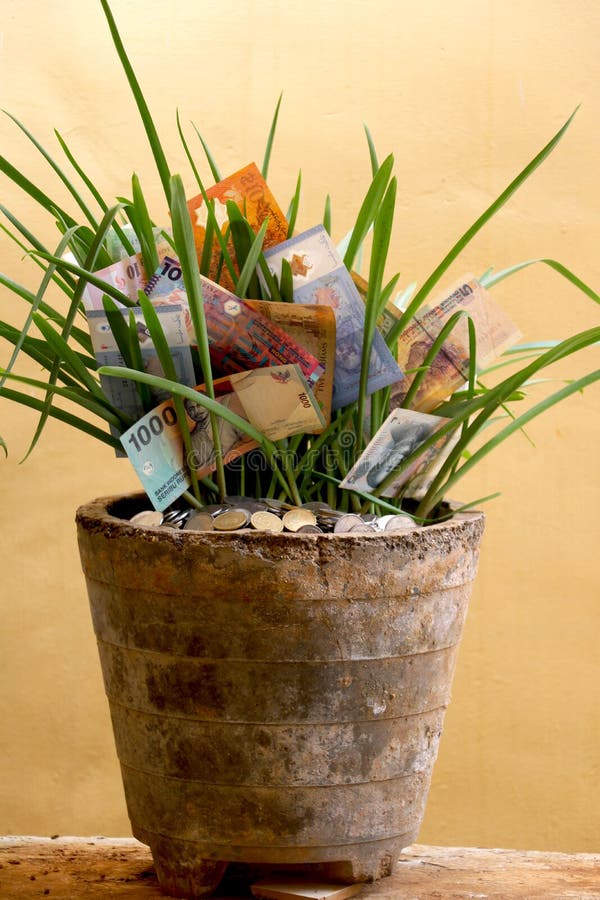 Stack of Currency Coin in Flower Pot with Green Leaf Plant Stock Image ...
