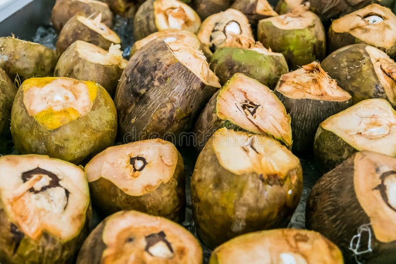 Stack of Cut Coconuts for Cocktail Drinks Stock Image - Image of ...