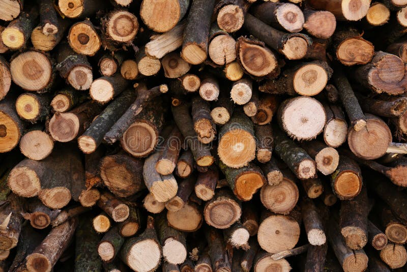 Stack of Cut Firewood As Background, Closeup View Stock Photo - Image ...