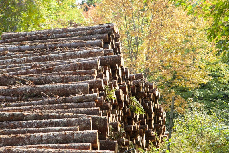 Stack of cut lumber stock image. Image of industrial - 198741097