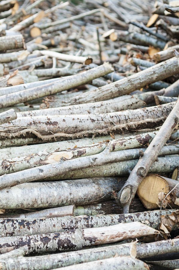 Stack of cut tree branches stock photo. Image of brown - 85102206