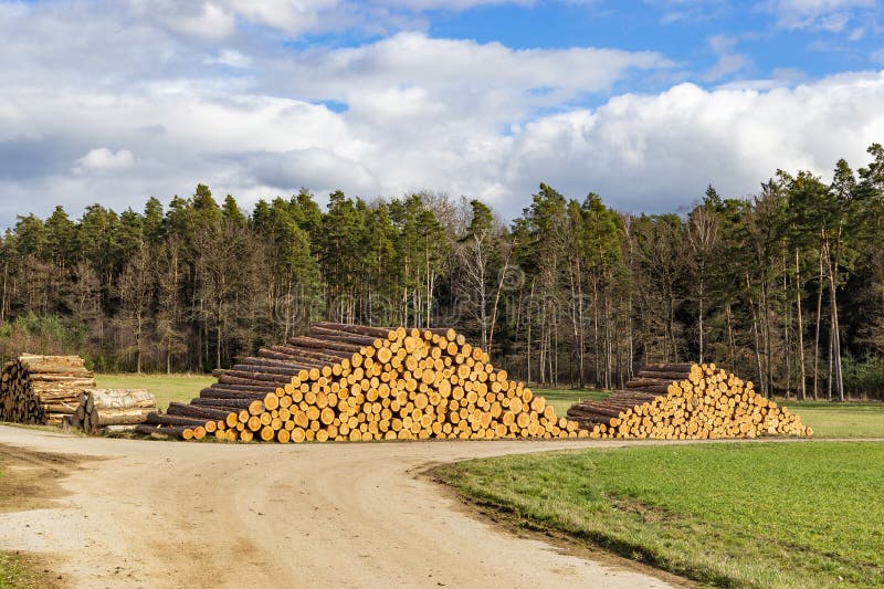 Stack of Cut Tree Logs in a Field Stock Photo - Image of firewood ...