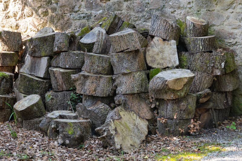 Stack and Stumps on the Pembrokeshire Coast, Wales Near Castlemartin ...