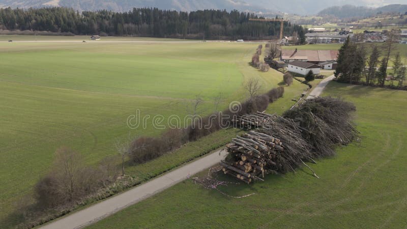 Stack of Cut Trees and Branches on a Green Field beside a Rural Road ...