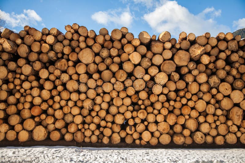 Stack of Cut Trees Logs Pattern in Winter with Snow Stock Photo - Image ...