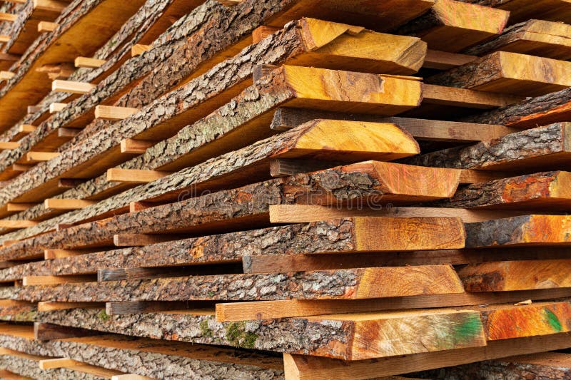 Stack of Cut Wood. Raw Board with Bark Stock Photo - Image of stack ...