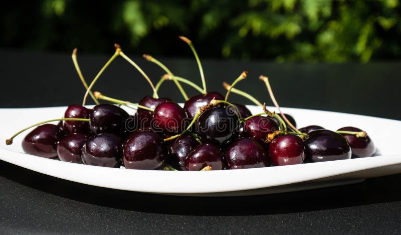 Dark sweet cherries stock image. Image of garden, cherry - 224405637