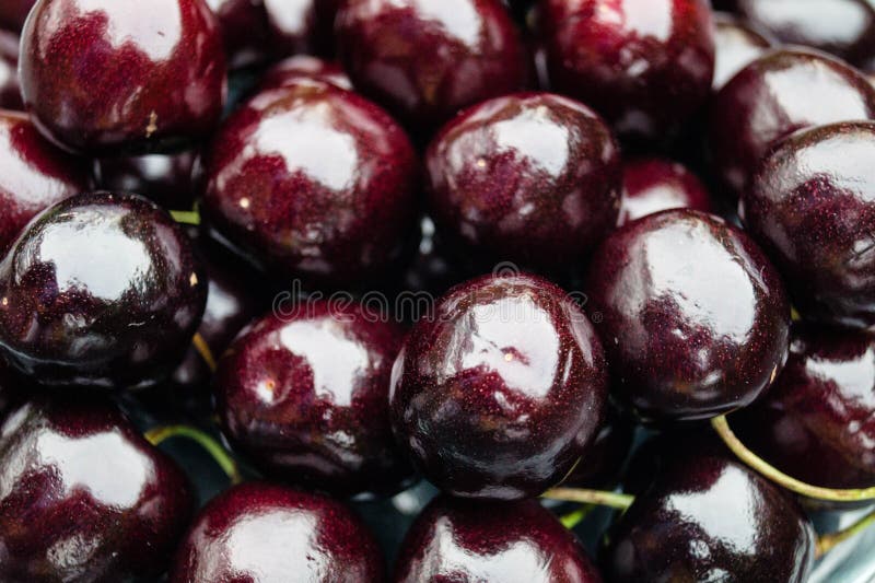 Dark sweet cherries stock photo. Image of fruit, delicious - 224405618