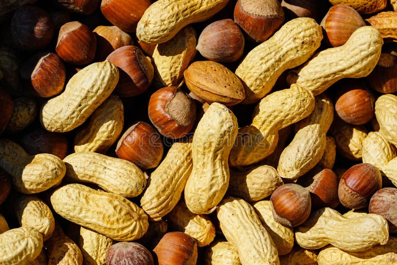 Stack of nuts stock image. Image of fruits, autumn, cracker - 250068527