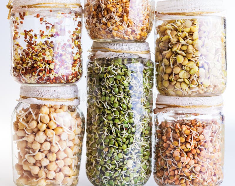 Stack of Different Sprouting Seeds Growing in a Glass Jar Stock Photo ...
