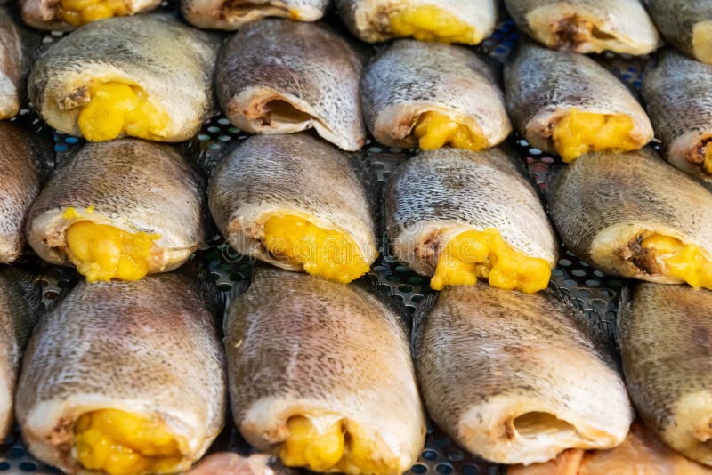 Stack of dried fish. stock photo. Image of nature, heap - 120692940