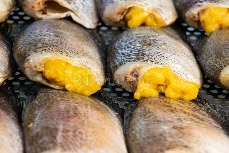 Stack of raw fish stock photo. Image of close, heap, closeup - 79966174