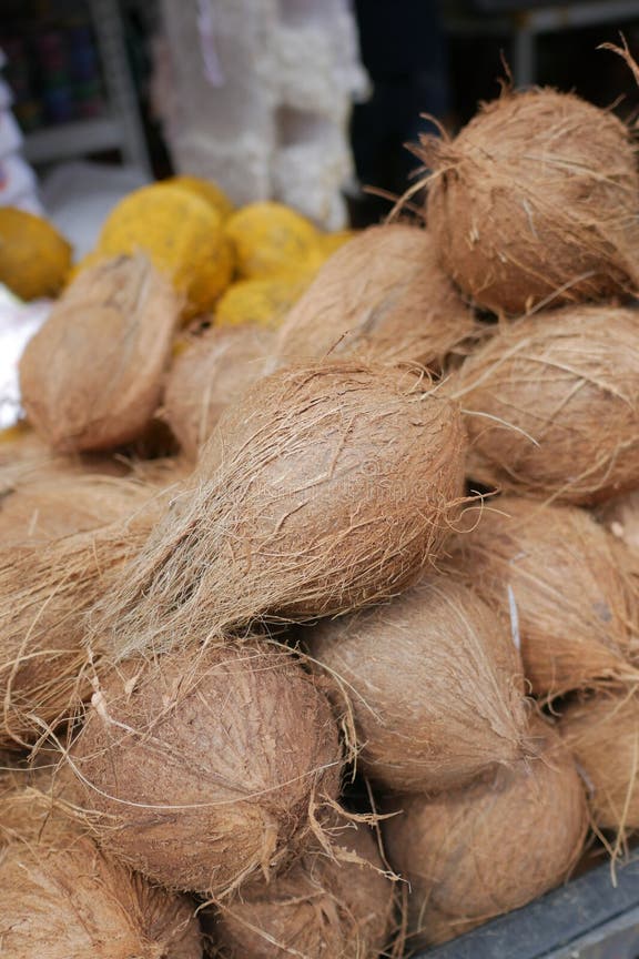 Stack of Dry Coconut Display for Sale Stock Photo - Image of open ...