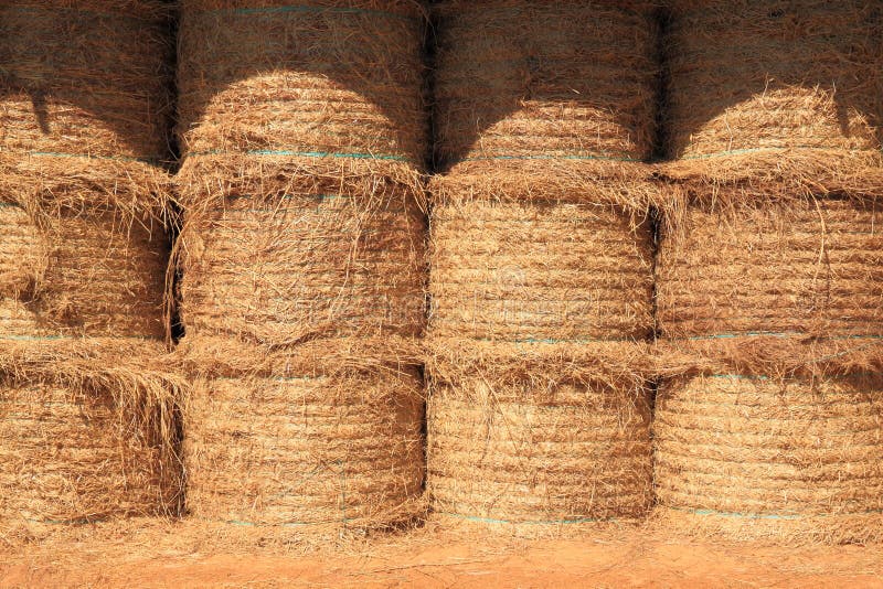 Stack dry hay in barn stock photo. Image of texture, summer - 22388474
