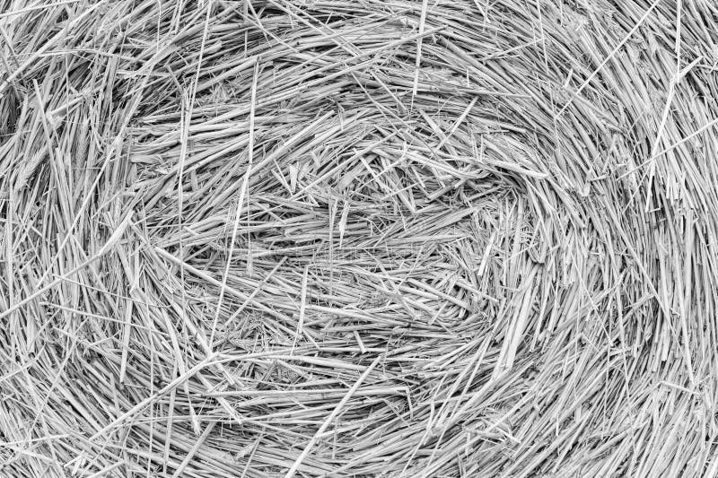Stack Dry Hay. Hay Texture. Hay Bale is Stacked in Large Stack. Rural ...