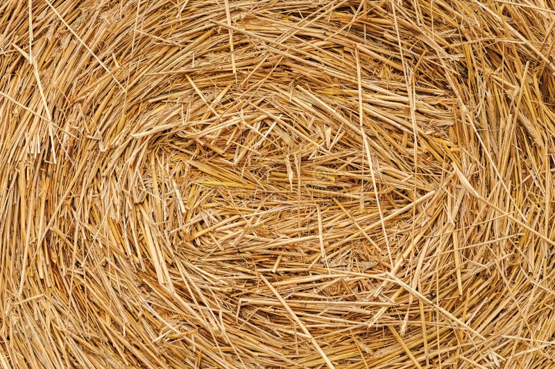 Stack Dry Hay. Hay Texture. Hay Bale is Stacked in Large Stack. Rural ...