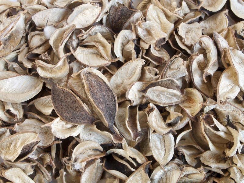 Stack of dry leaves stock photo. Image of autumn, decor - 30159620