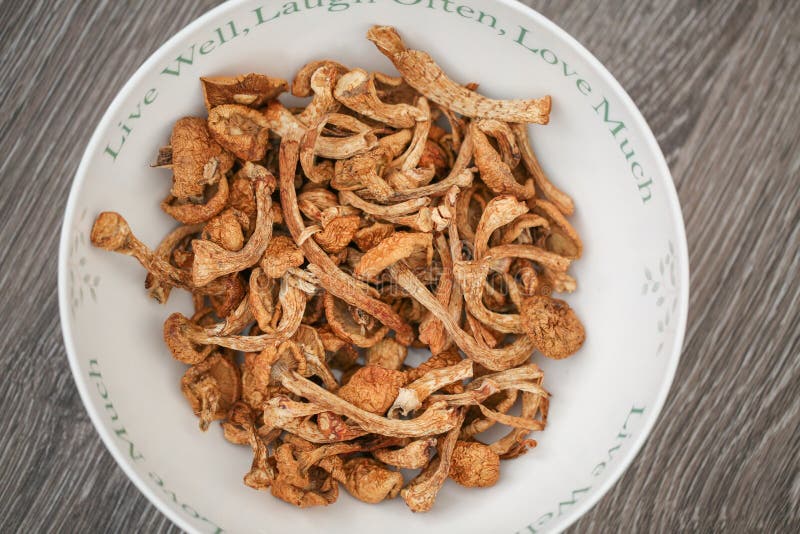 Stack of mushroom cubes stock image. Image of fresh, organic - 32638875