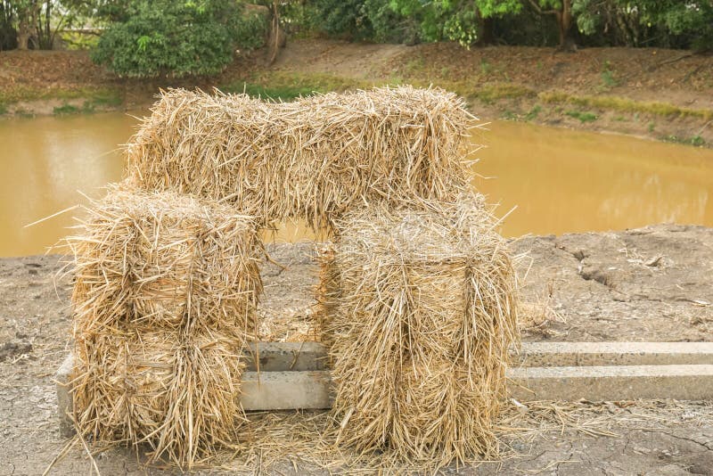 Stack of Dry Rice Straw in Farm Stock Image - Image of field, farmland ...