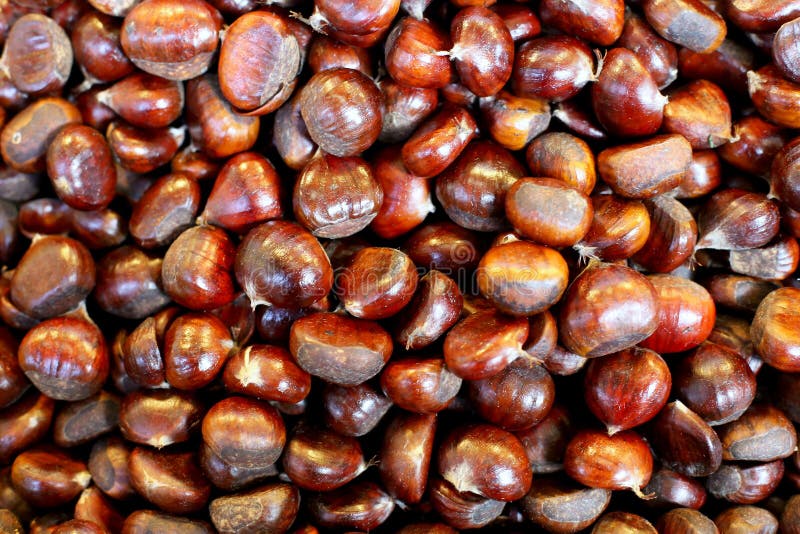 Stack of Edible Chestnuts As a Background Stock Photo - Image of fresh ...
