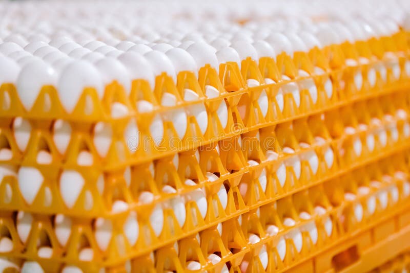 Stack of Eggs on Tray in the Shop Stock Image - Image of closeup ...
