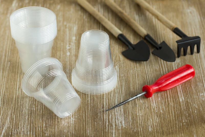 Stack Empty Plastic Glasses of One Hundred Milliliters for Seedlings ...