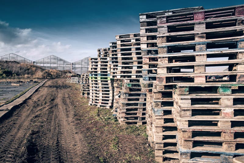 Stack of euro pallets stock image. Image of stacked - 204806773