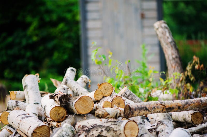 Stack of Fire Wood Cut of Birch in Summer, Nature and Forest Care ...