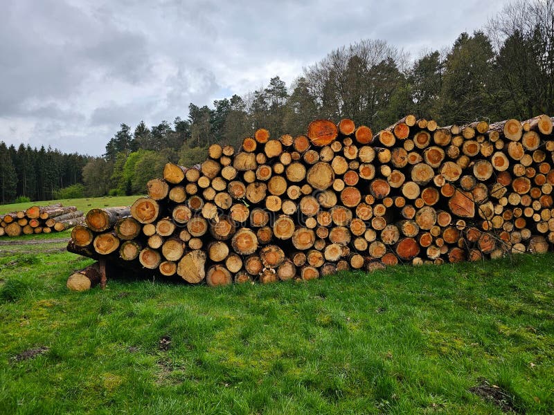 Stack of firewood stock image. Image of heater, background - 335557447