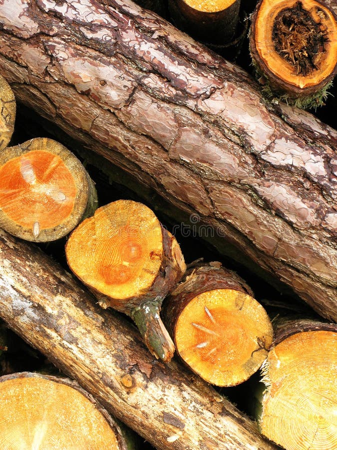 Stack of firewood stock photo. Image of sliced, fuel, block - 4443648