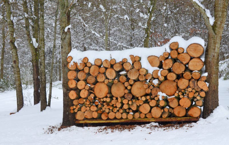 Stack of Firewood Covered in Snow Stock Photo - Image of freeze ...