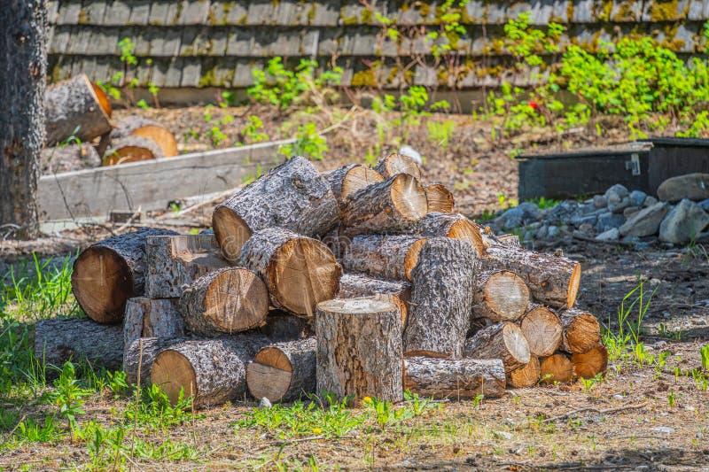 Stack of Firewood in Front of a House Stock Photo - Image of bonfire ...