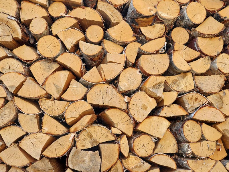 A Stack of Firewood, Log Ends, Chopped Birch and Pine Firewood, Texture ...