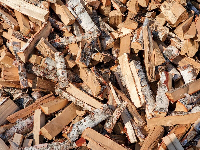 A Stack of Firewood, Log Ends, Chopped Birch and Pine Firewood, Texture ...