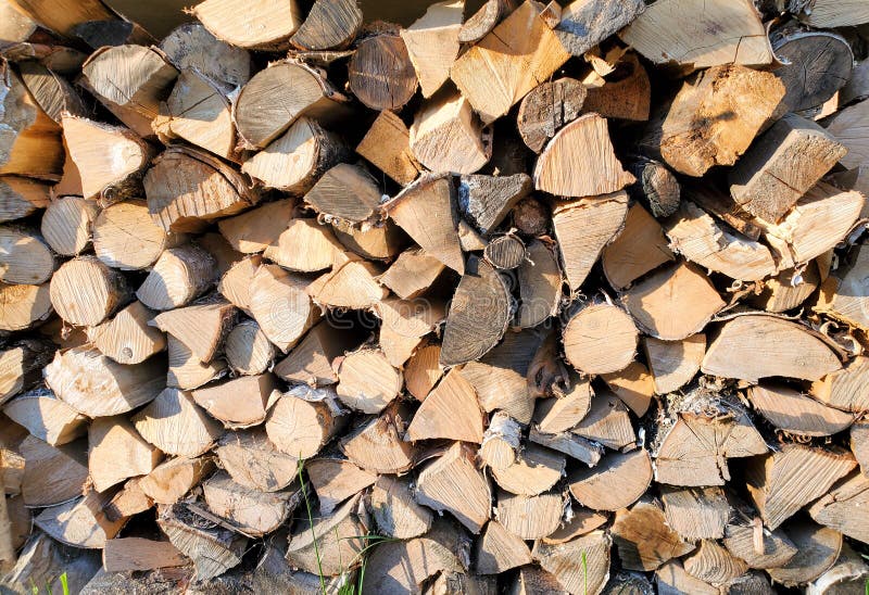 A Stack of Firewood, Log Ends, Chopped Birch and Pine Firewood, Texture ...