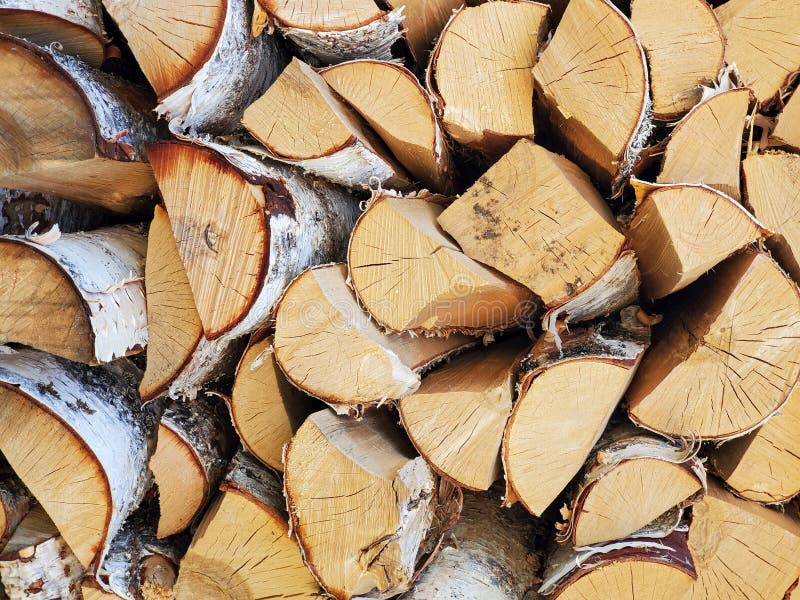 A Stack of Firewood, Log Ends, Chopped Birch and Pine Firewood. Texture ...