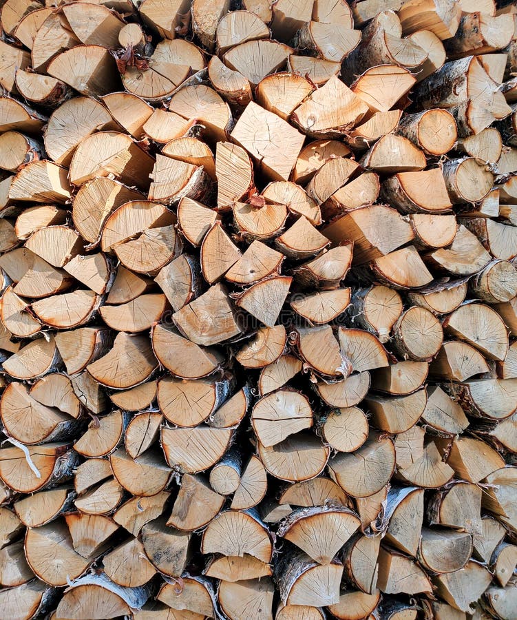 A Stack of Firewood, Log Ends, Chopped Birch and Pine Firewood ...