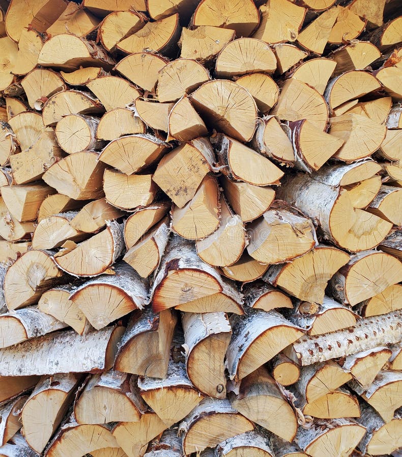 A Stack of Firewood, Log Ends, Chopped Birch and Pine Firewood ...