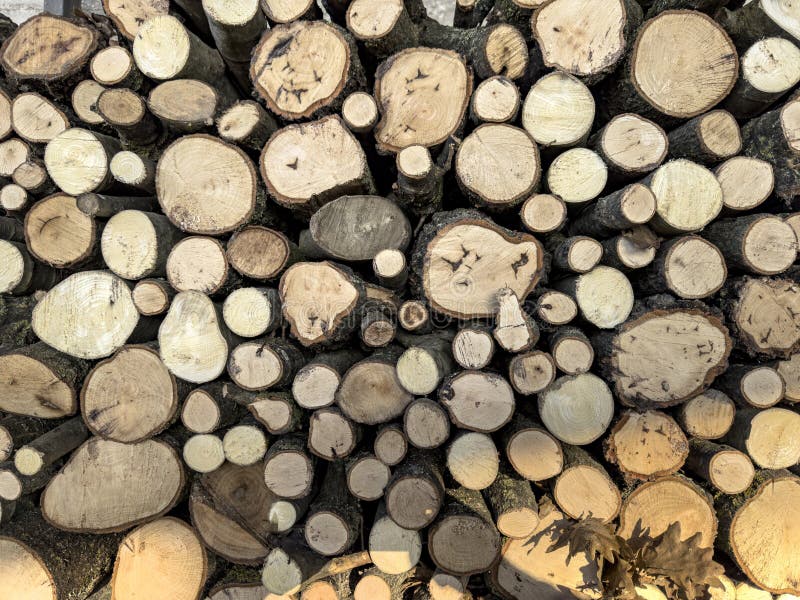 Stack of Firewood Logs Forming a Natural Background Texture Stock ...