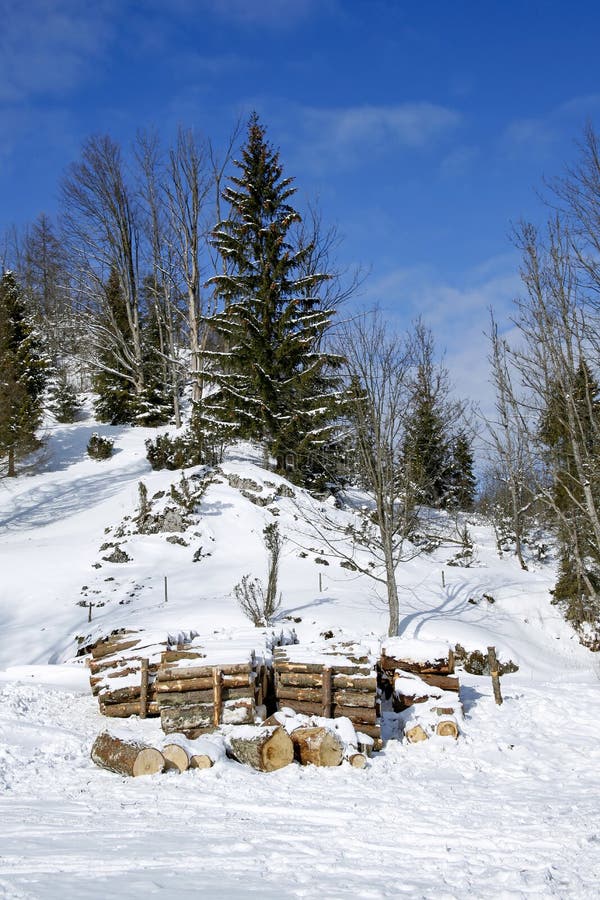 Mountain Clearing stock image. Image of forest, mountains - 44157005