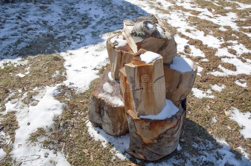 Stack of firewood. stock photo. Image of natural, nature - 36287142